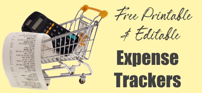 FREE Expense Tracker Printable | Customize Online