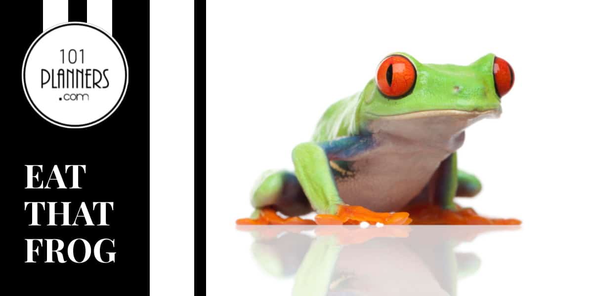 Eat That Frog Book Summary