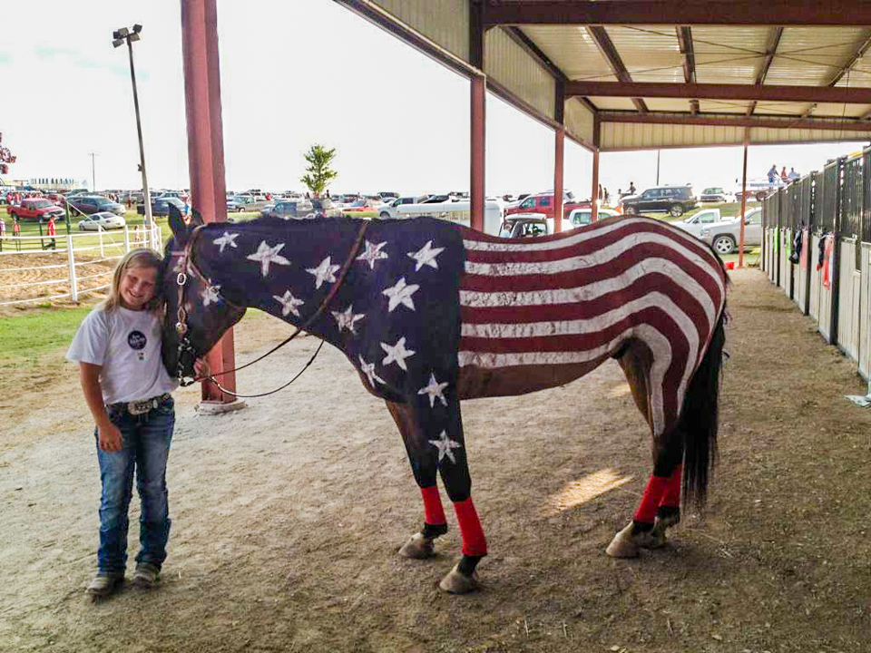Patriotic Horses at the County Fair - 3 Quarters Today