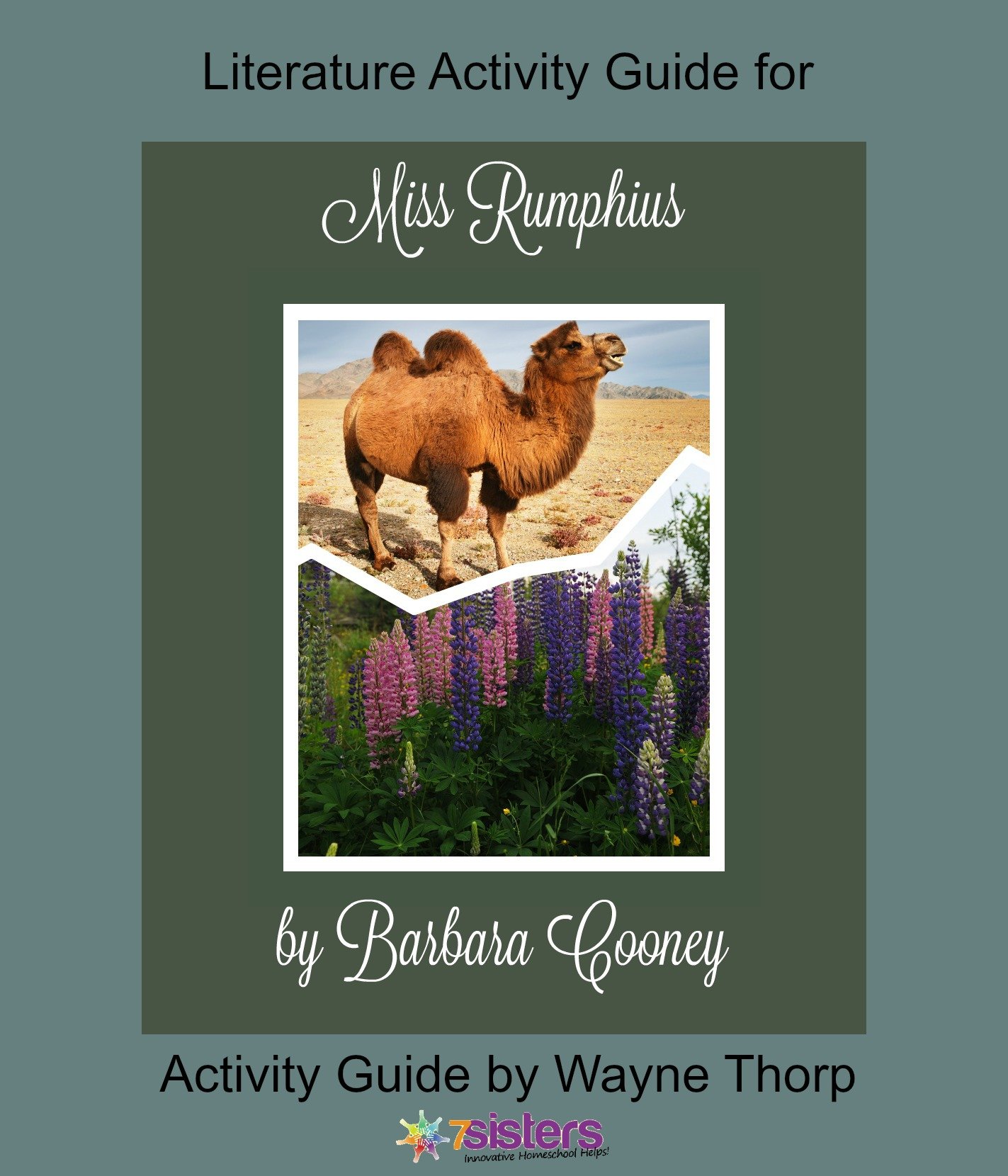 Elementary Literature Activity Guides Archives - 7sistershomeschool.com