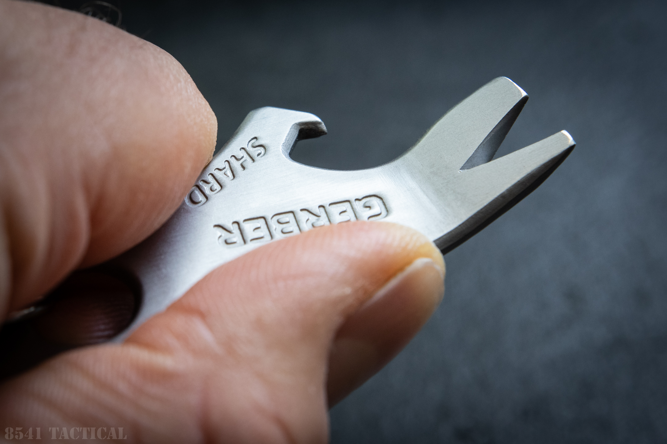 Gerber Shard Review | 8541 TACTICAL