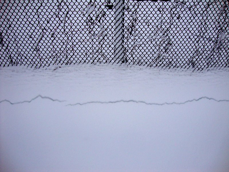 Math Photo: A Natural Discontinuity – Mr Honner