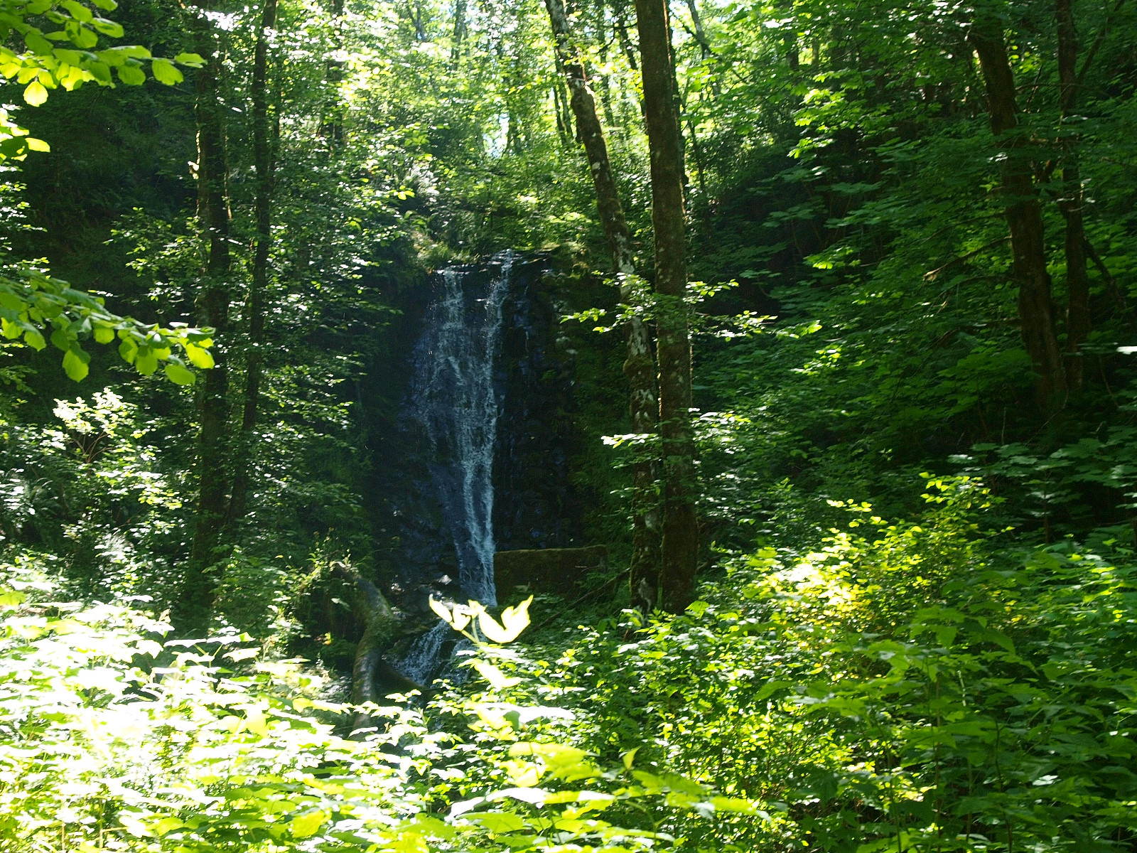 Bridge Creek Falls, Tillamook County, Oregon - Pacific Northwest Photoblog
