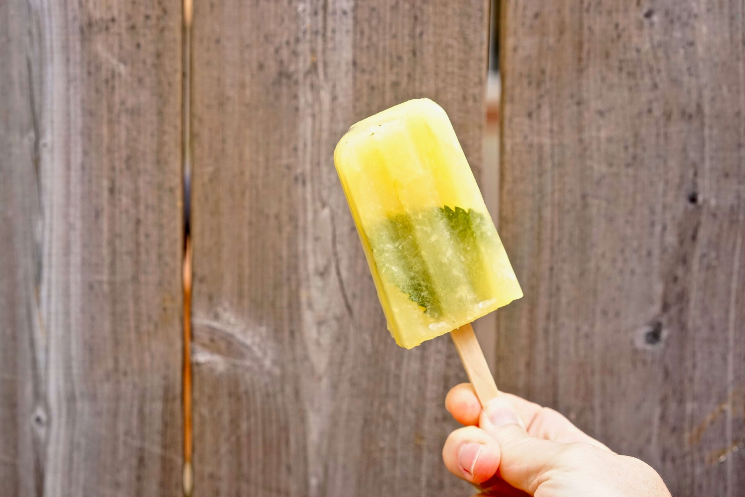 Florida Orange Juice Gin Smash Popsicle Recipe for Summer