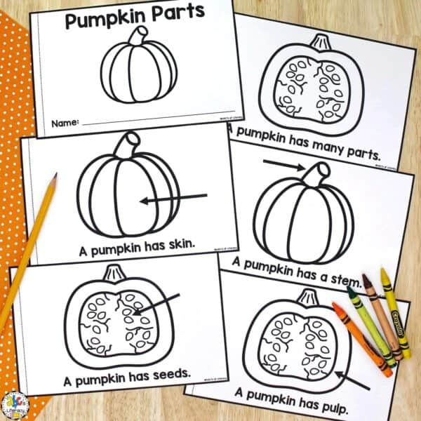 Parts of a Pumpkin Book: Printable Book for Beginning Readers