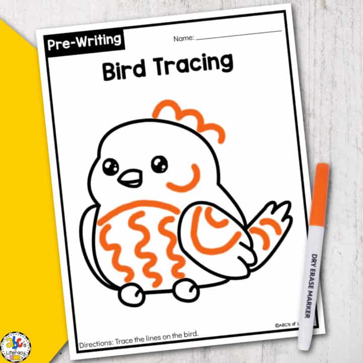 BirdTracing1- ABC's of Literacy