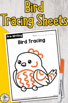 Bird Tracing Worksheets for Preschool