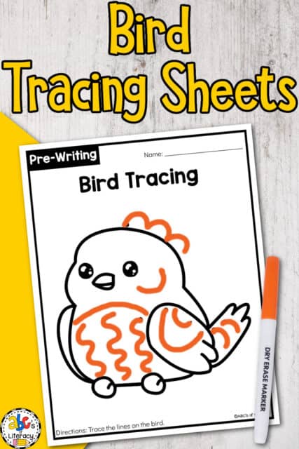 Bird Tracing Worksheets for Preschool