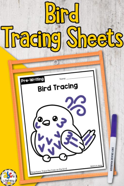 Bird Tracing Worksheets for Preschool
