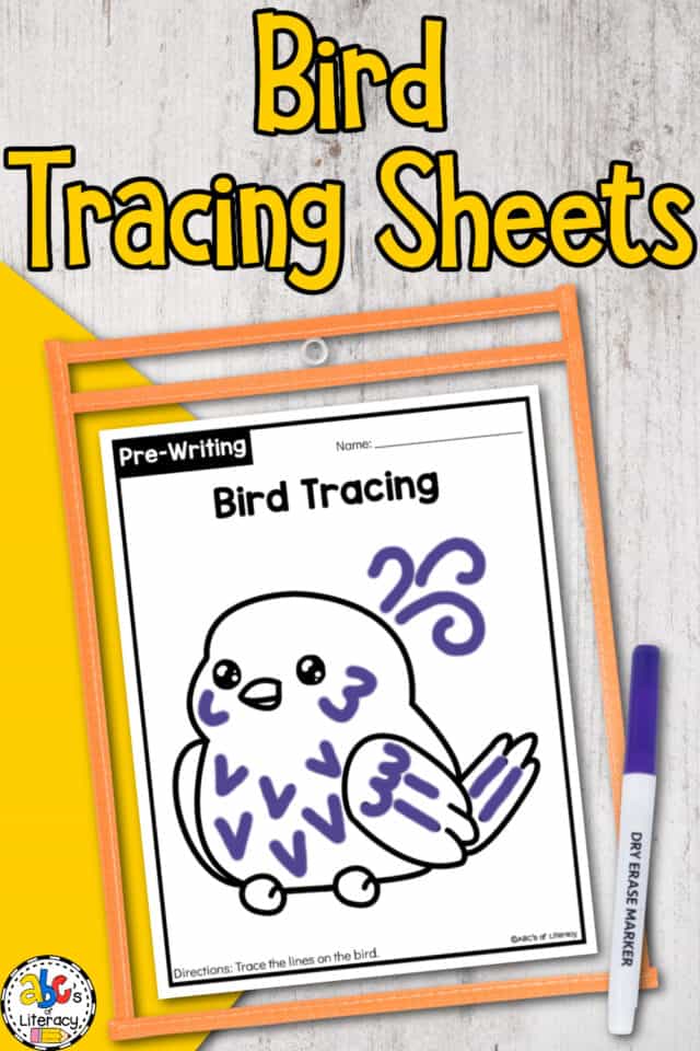 Bird Tracing Worksheets for Preschool