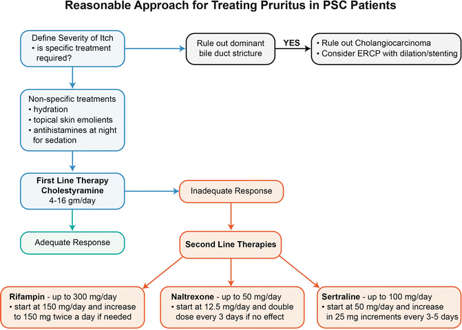 Pruritus in Primary Sclerosing Cholangitis: New Insights into Cause and ...