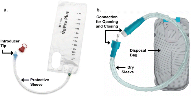 Catheters Used for Intermittent Catheterization | Abdominal Key