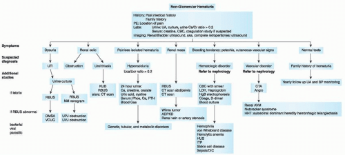 Hematuria | Abdominal Key