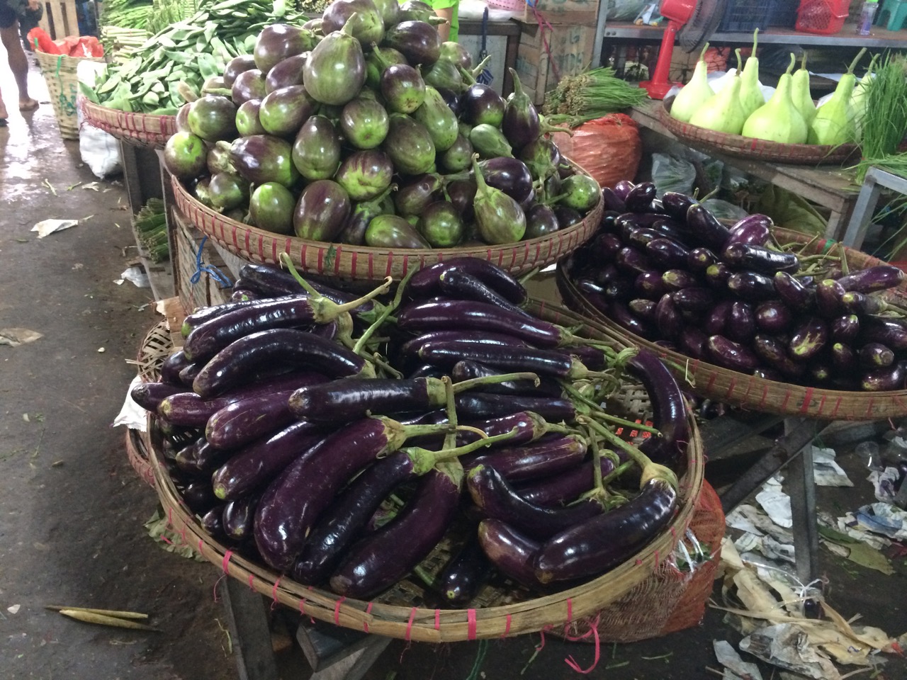 Myanmar Vegetable Seeds Market – Open for Opportunities | AgConAsia ...