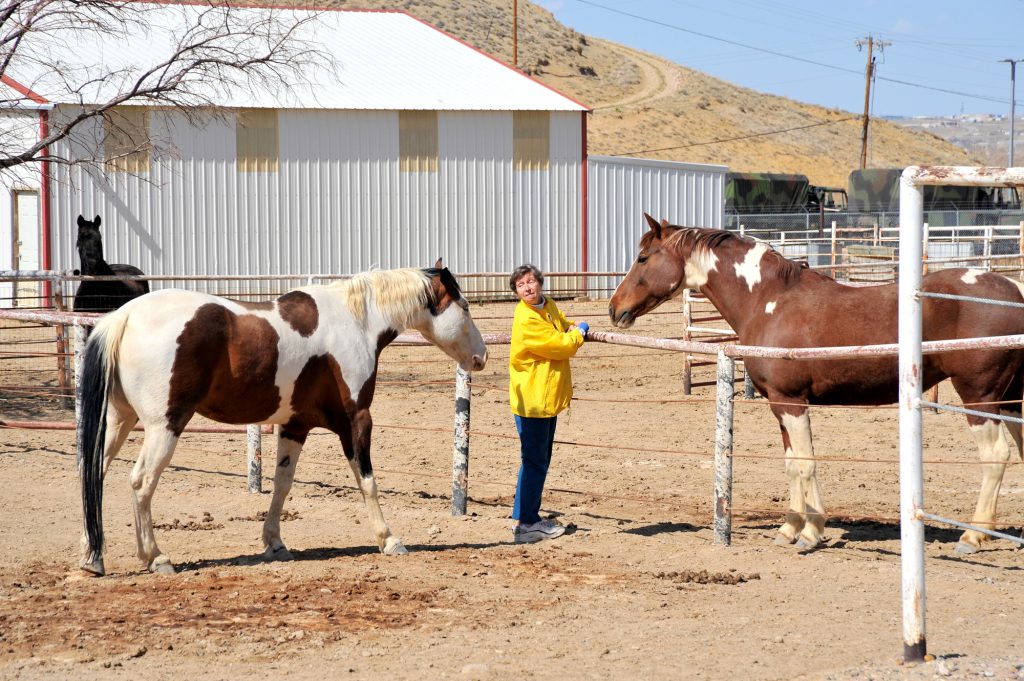 Agri View: Women Cattle Ranchers