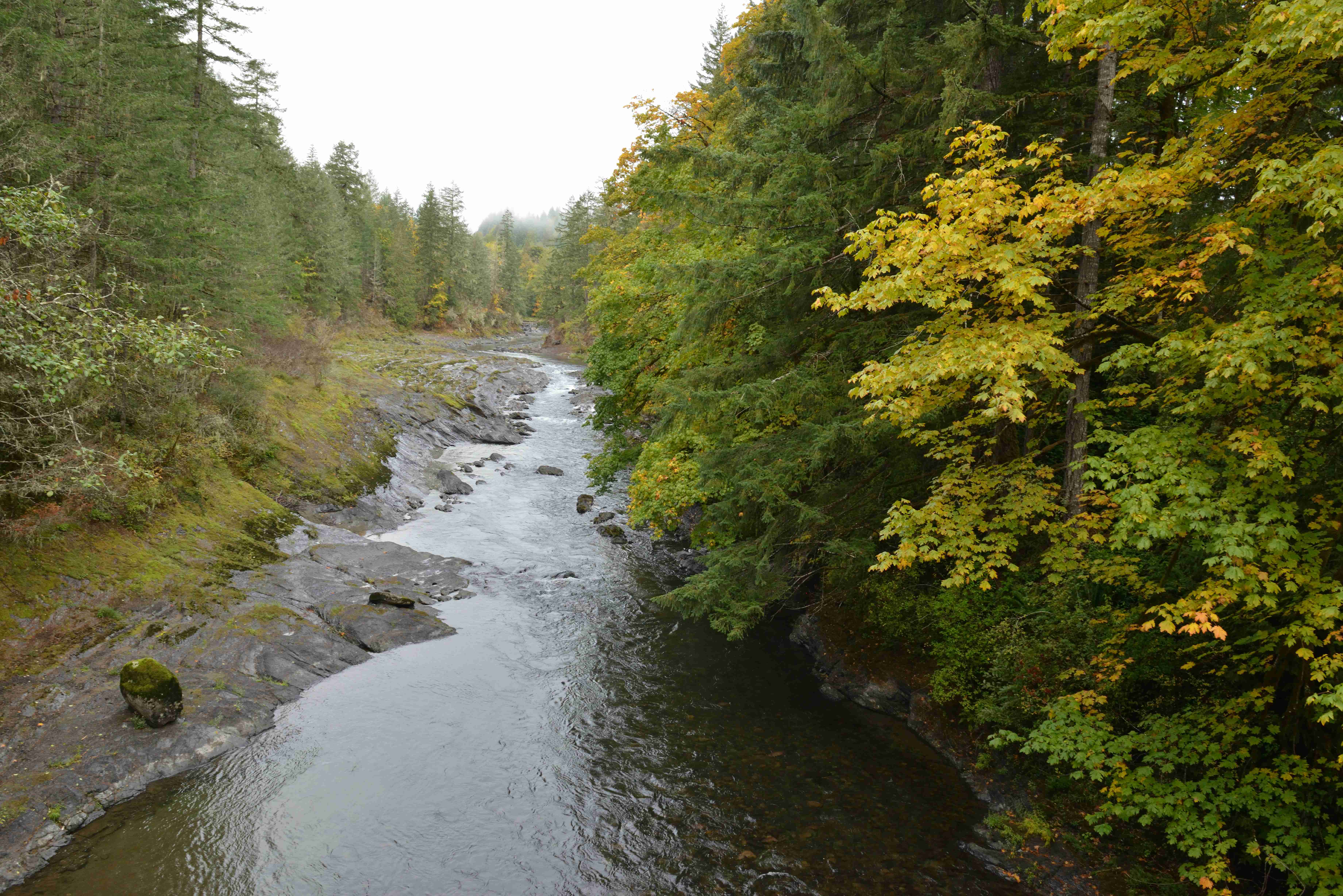 Cowichan River Provincial Park – Airstream Time