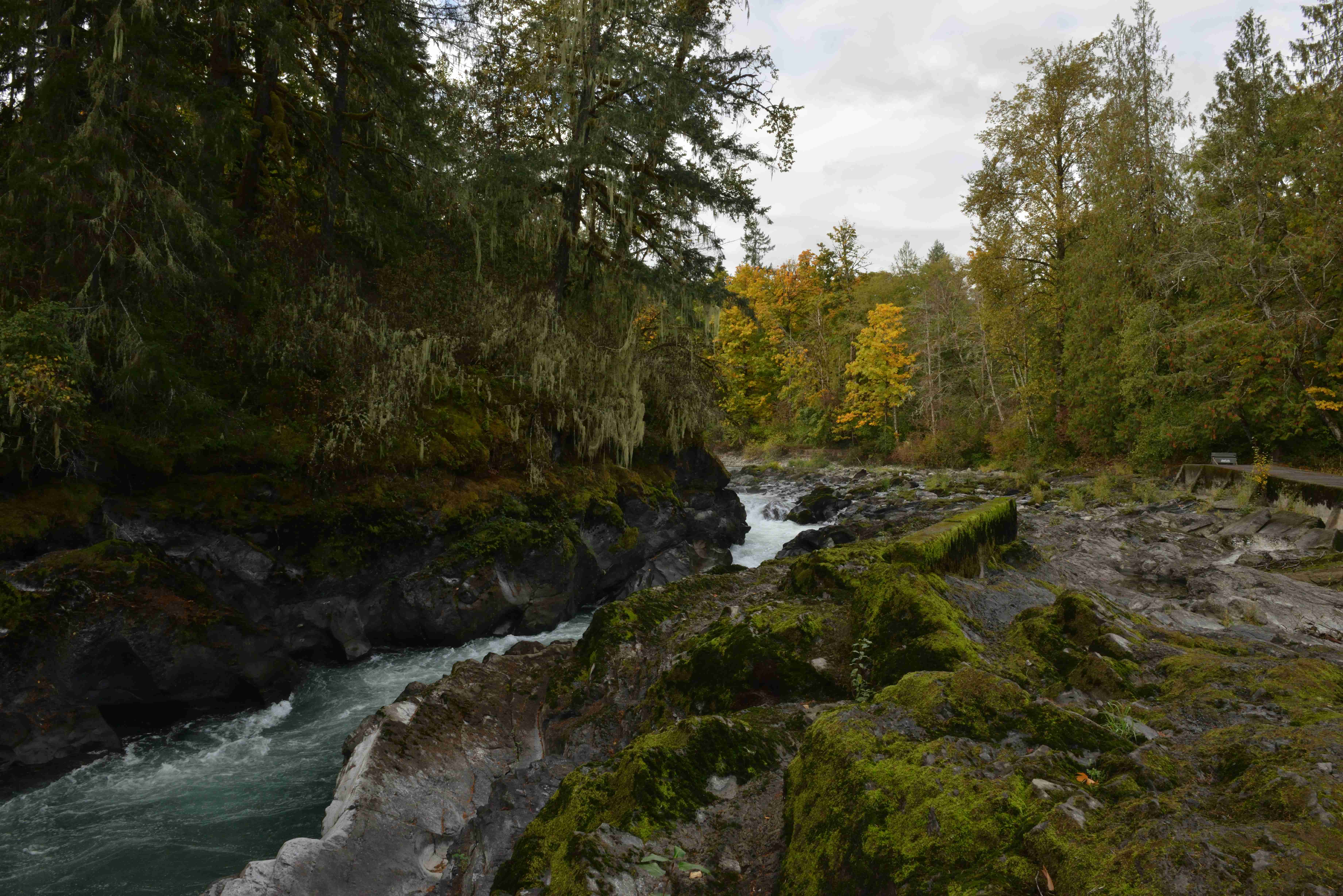Cowichan River Provincial Park – Airstream Time