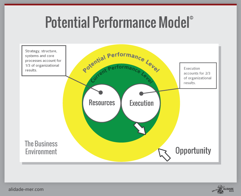 A Strategic View of Organizational Performance - Alidade MER