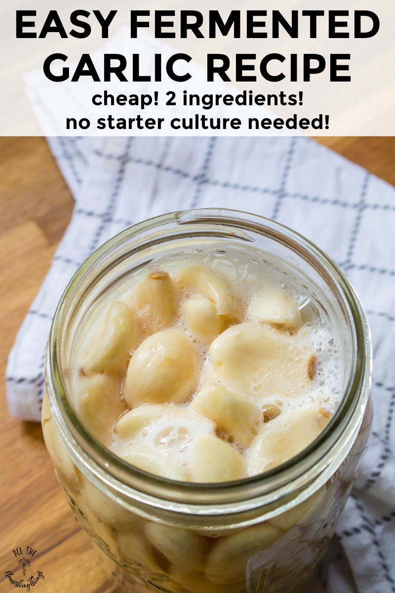Easy Fermented Garlic — 2 Ingredients & No Starter Needed!