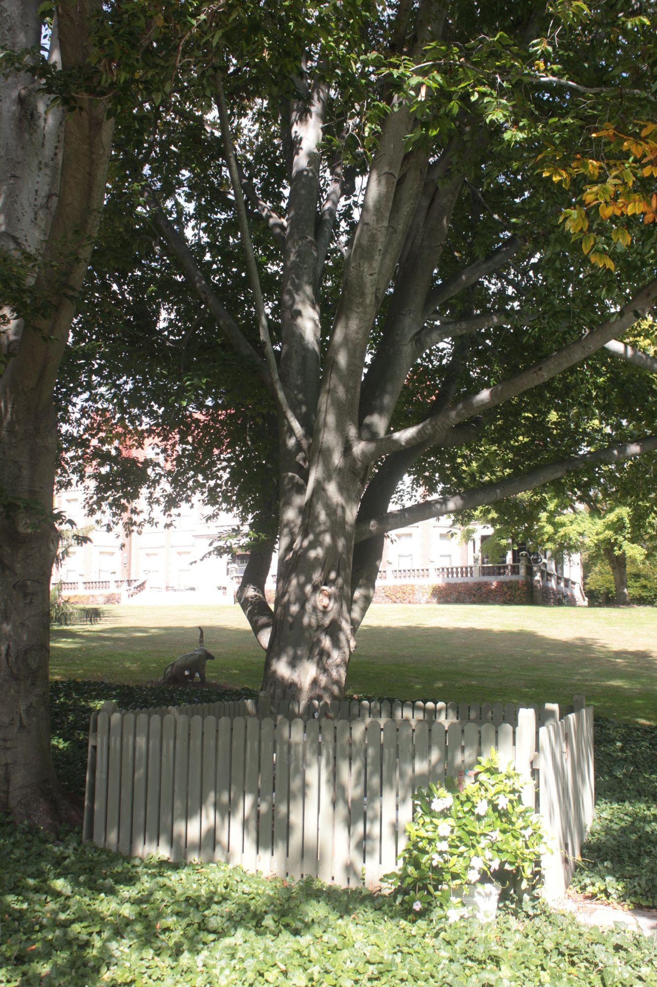 Busch Family Estate Walk – Amanda Markel