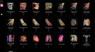 Apps For Learning Anatomy