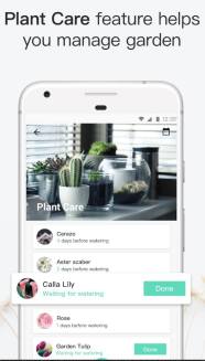 Plant Recognition App OnePronic