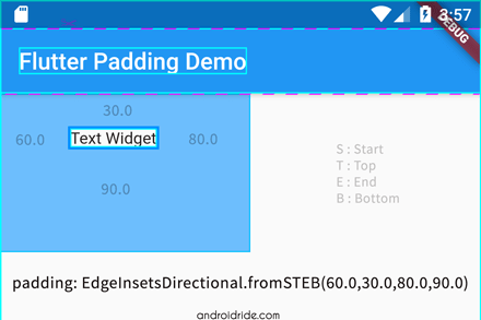 Ultimate Guide : Flutter Padding Widget Example With Tutorial - AndroidRide