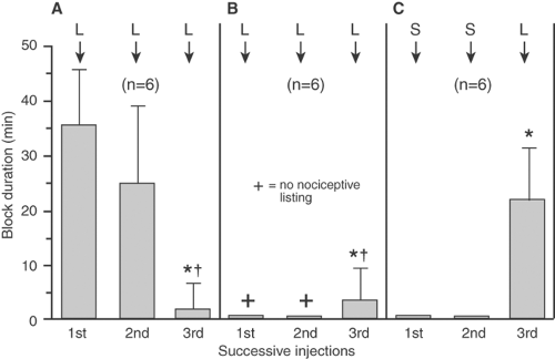 Neural Physiology and Local Anesthetic Action | Anesthesia Key