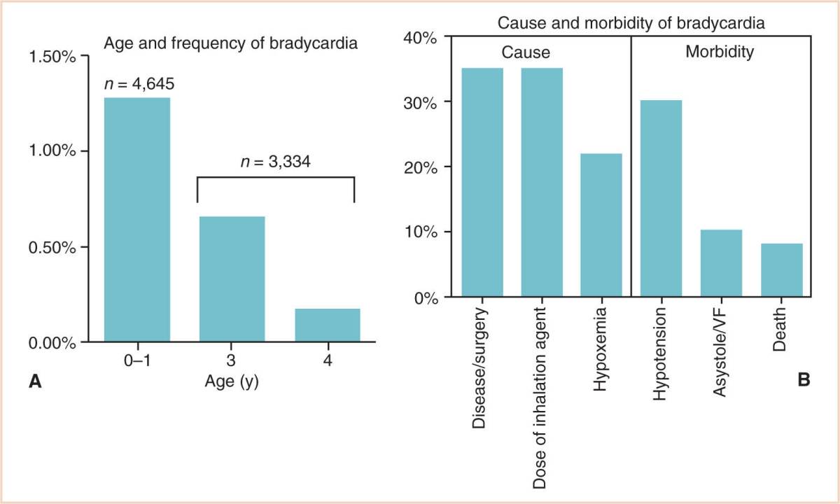 Risk Management Assessment And Quality Improvement Anesthesia Key risk-management-assessment-and-quality-improvement-anesthesia-key