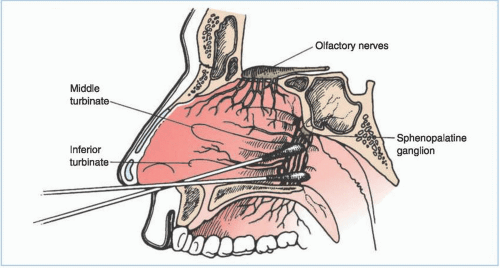 Head and Neck Blocks | Anesthesia Key