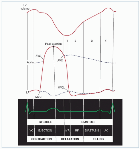 Echocardiographic Evaluation of Ventricular Diastolic Function ...