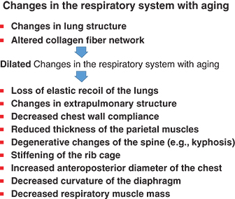 Thoracic Anesthesia for the Geriatric Patient | Anesthesia Key