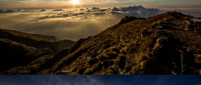 Parallax Plugin / Directive For Angular 2 | Angular Script