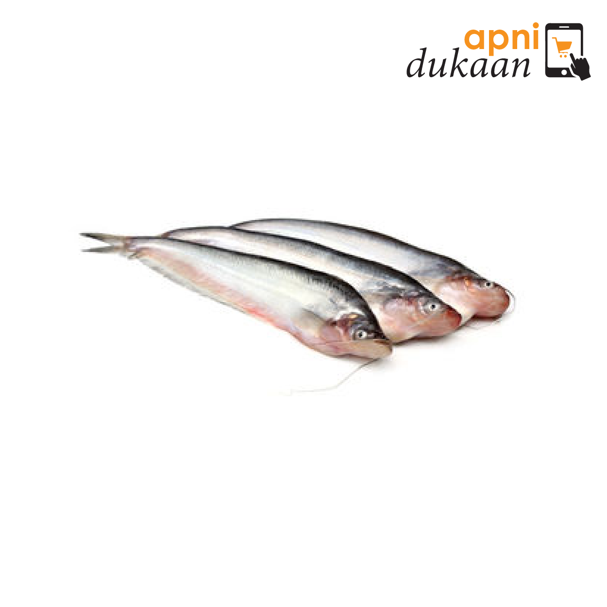 Bangladeshi Pabda Fish - 500g - Apni Dukaan