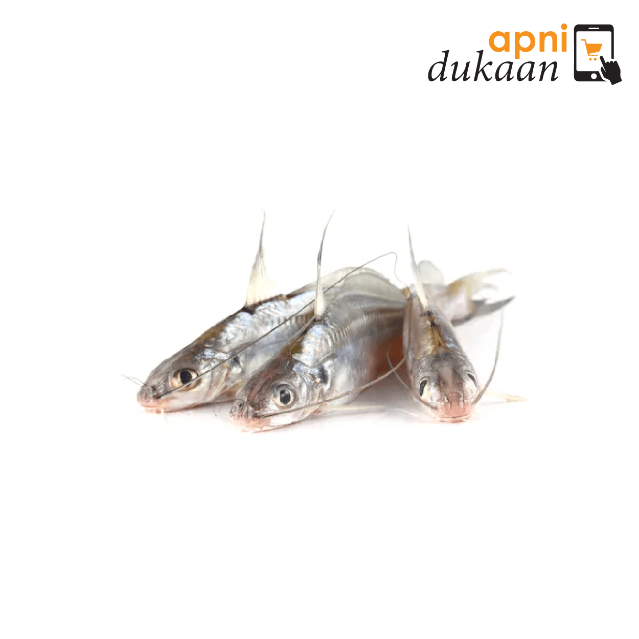 Bangladeshi Tangra Fish - 500g - Apni Dukaan