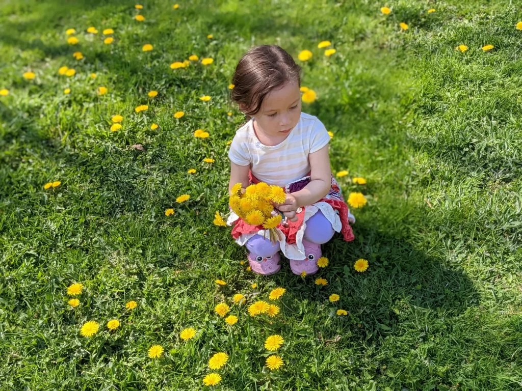 Project 365 2021-2022 – Apollo Lemmon