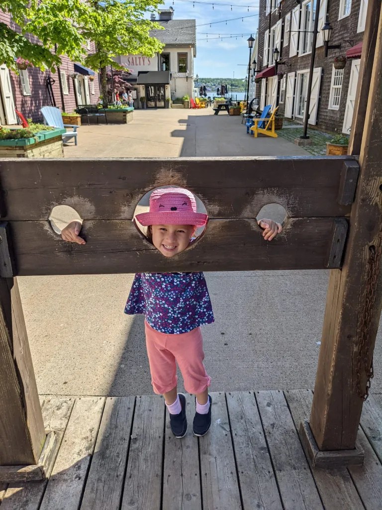 Project 365 2021-2022 – Apollo Lemmon