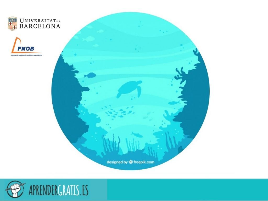 Curso sobre las claves de la Oceanografía