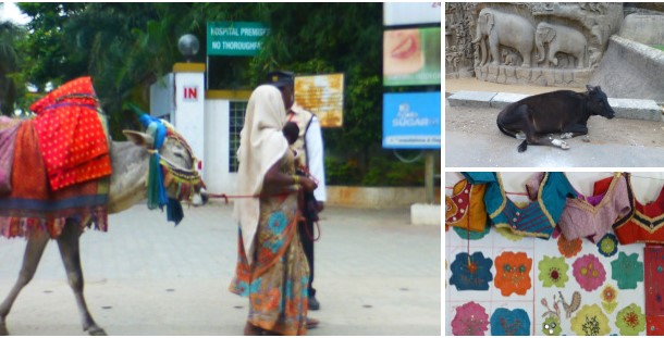 Reflexiones sobre educación desde India – Aprender la chispa