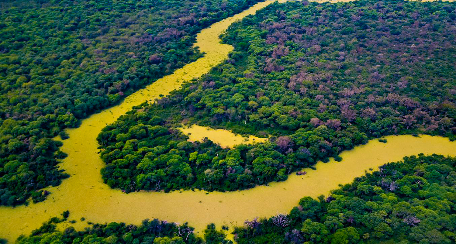El Impenetrable es el nuevo Parque Nacional en Argentina - Argentear