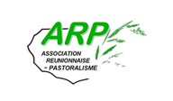 logo_arp | ARP Association Réunionnaise de Pastoralisme