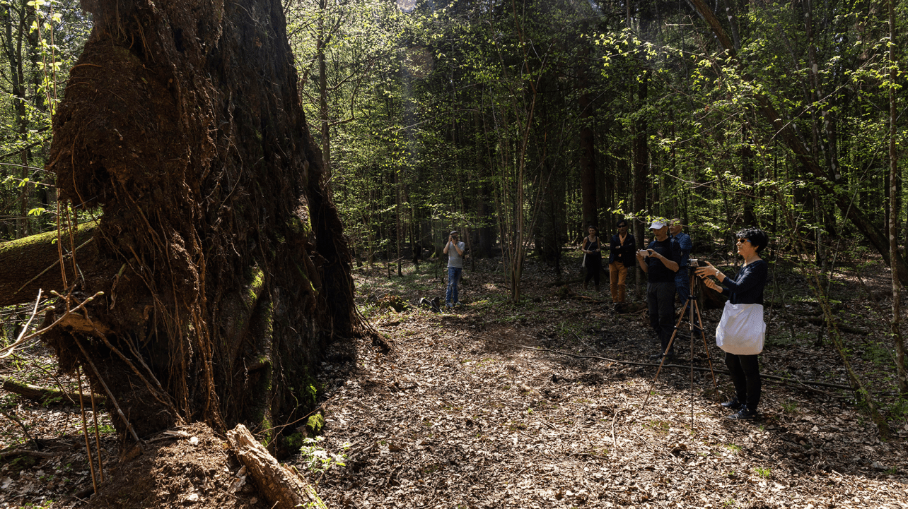 Rhizosphere Fieldwork in Białowieża Forest - Art & Science Node