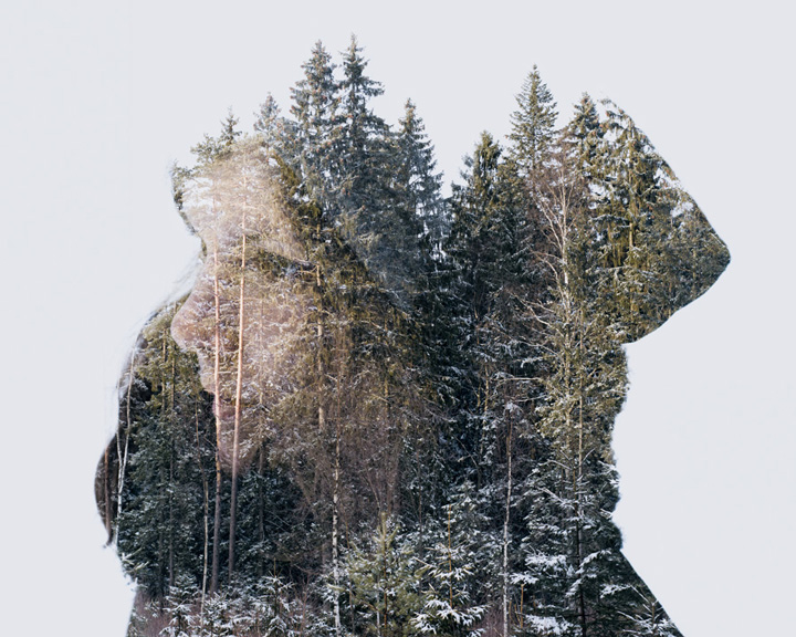 We are the Wild: Christoffer Relander – artsy forager