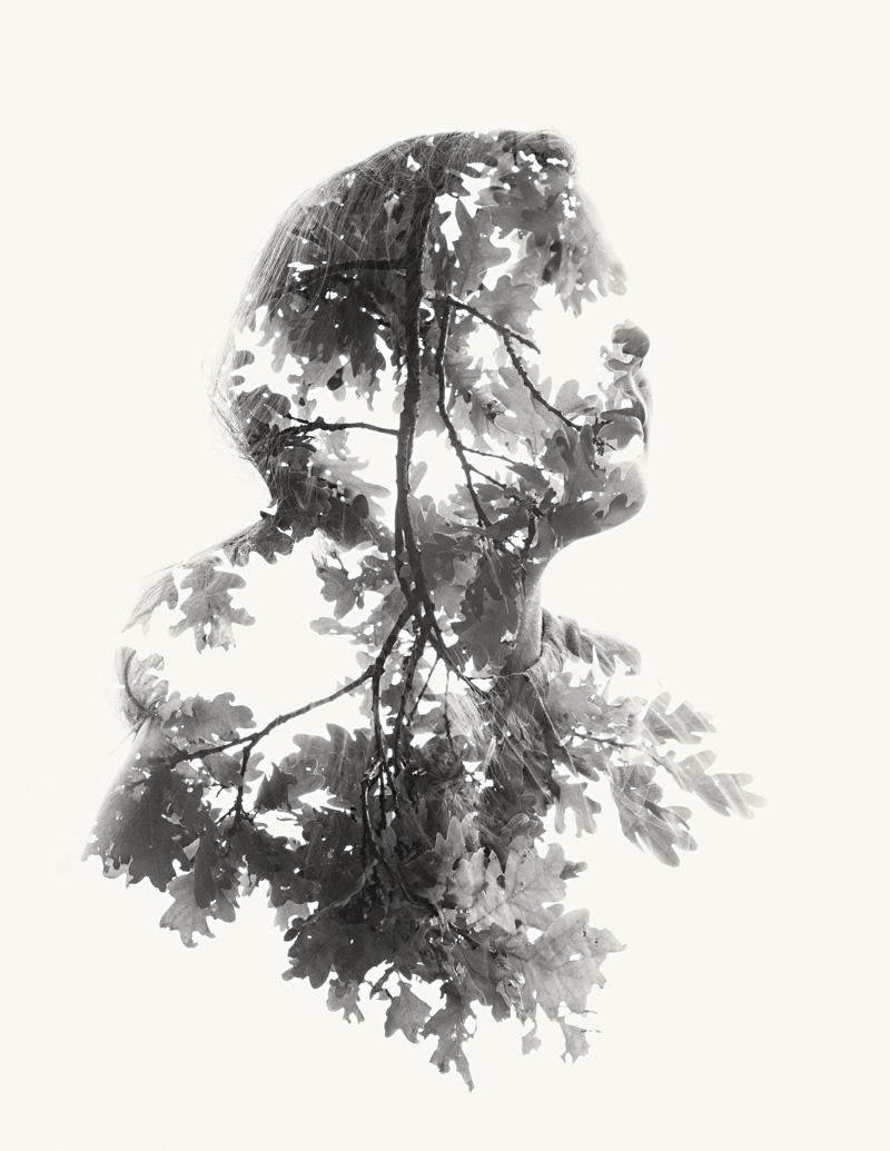 We are the Wild: Christoffer Relander – artsy forager