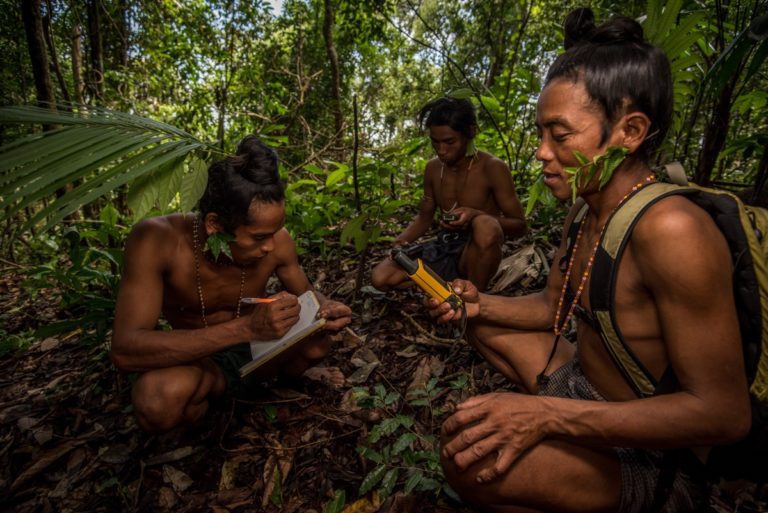 Hunters become saviors in remote Bangladesh forests - Asia Times