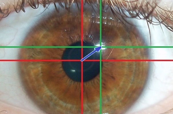 Eye Tracking 101: How Does It Work? - Assistive Technology Blog