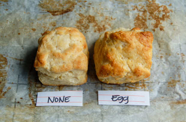 Comparing Different Types of Washes for Baking - Baker Bettie