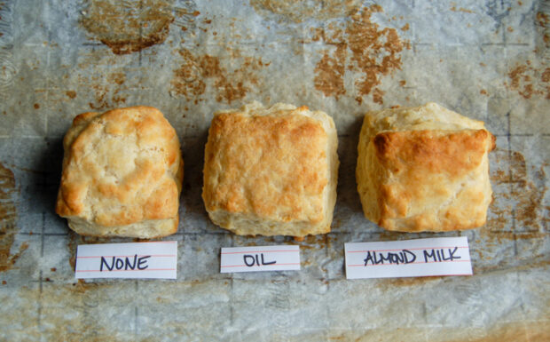 Comparing Different Types of Washes for Baking - Baker Bettie