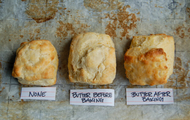 Comparing Different Types of Washes for Baking - Baker Bettie