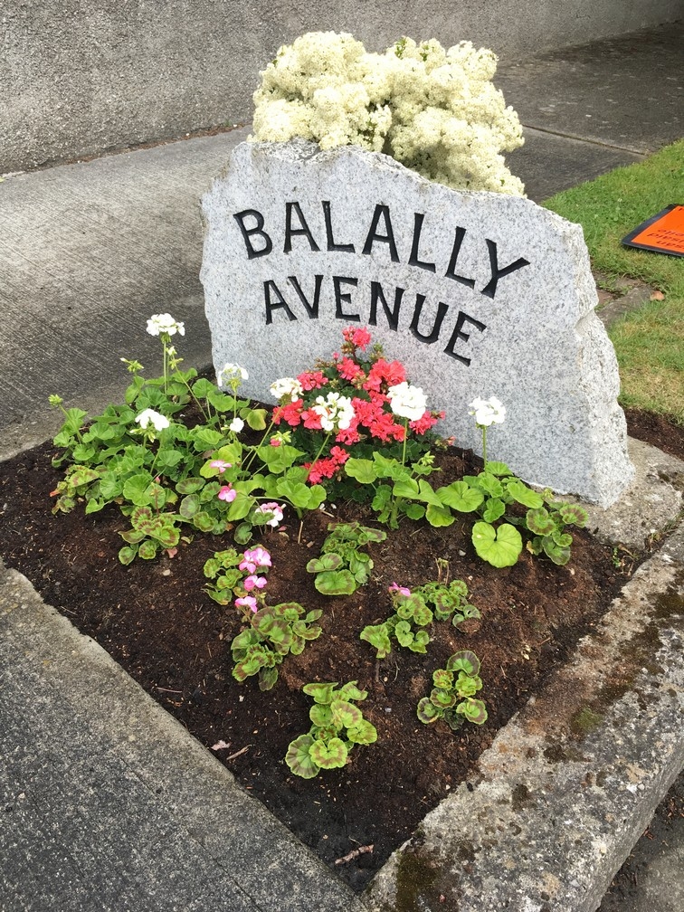 Roundabout Upgrade and Cleanup – Balally Residents Association